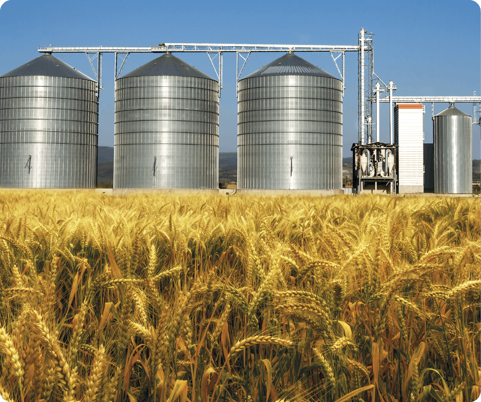 En situation | Lelivrescolaire.fr