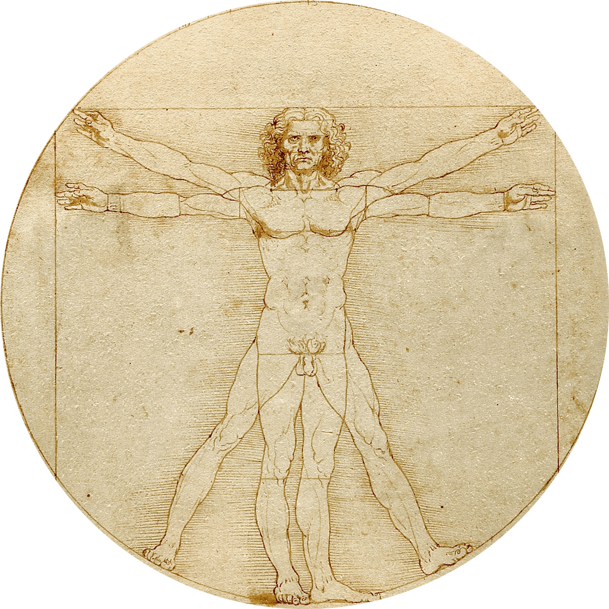 Synthèse - objectif BAC | Lelivrescolaire.fr