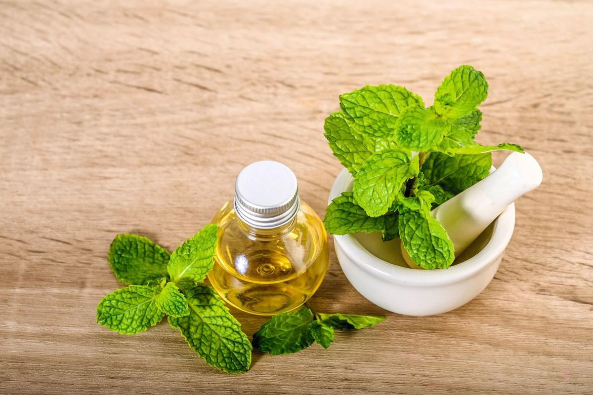 Synthèse de la menthone | Lelivrescolaire.fr