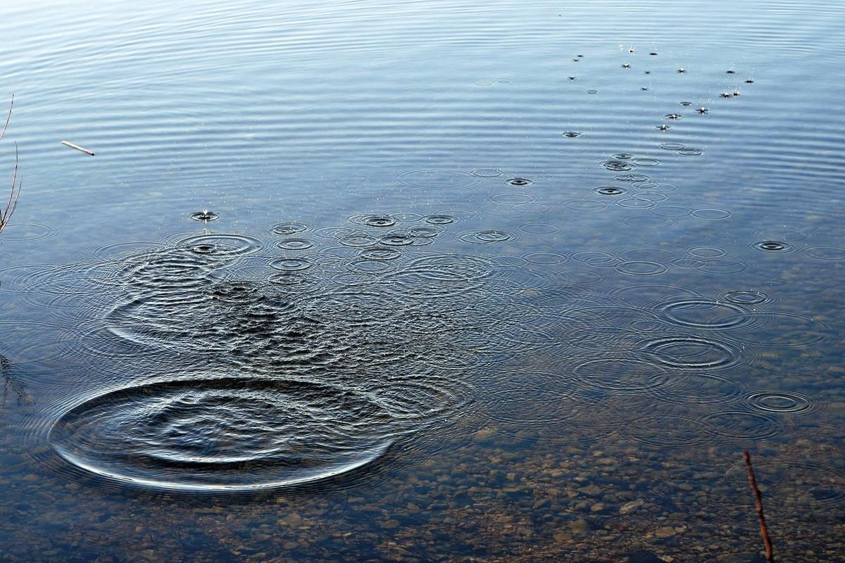 Pour s'échauffer - Pour commencer | Lelivrescolaire.fr