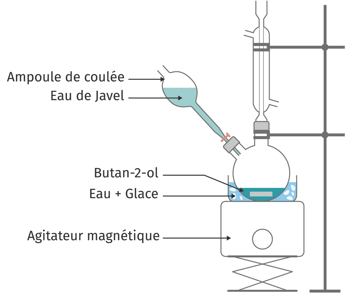 Pour s’entraîner | Lelivrescolaire.fr