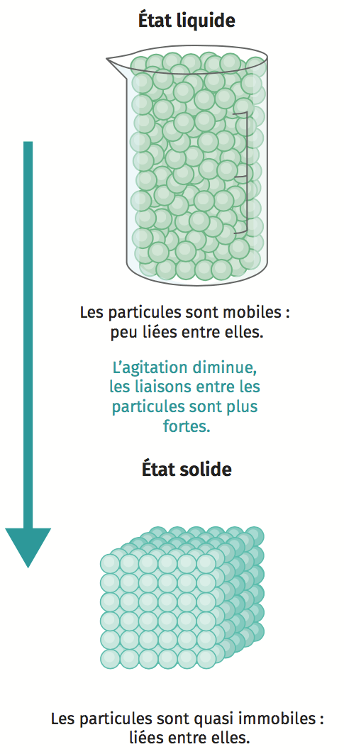 Cours | Lelivrescolaire.fr