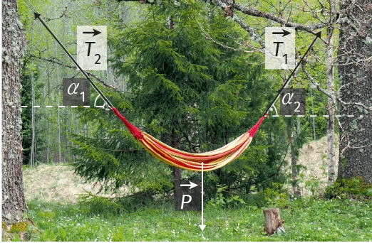 Exercices Pour s'échauffer/Pour commencer | Lelivrescolaire.fr