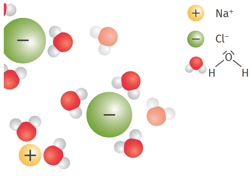 Cours | Lelivrescolaire.fr