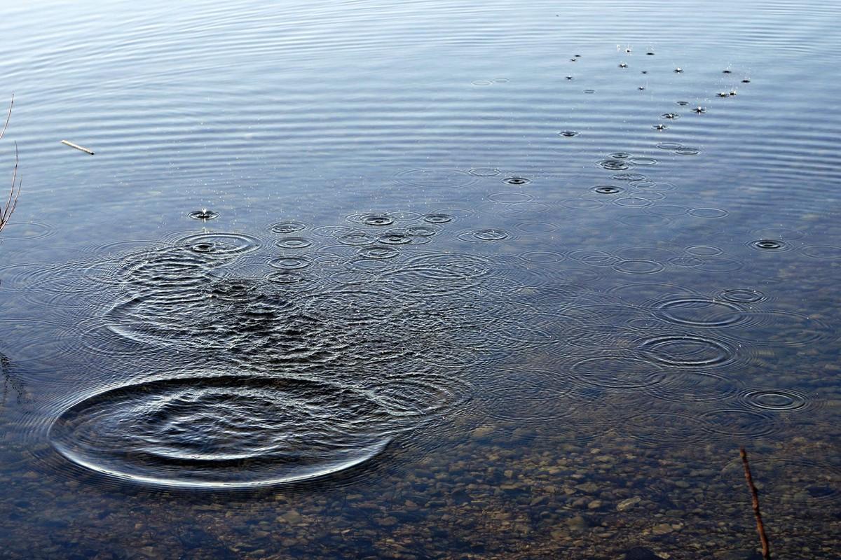 Des ondes bien différentes | Lelivrescolaire.fr