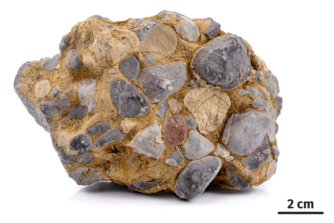 Exercices | Lelivrescolaire.fr