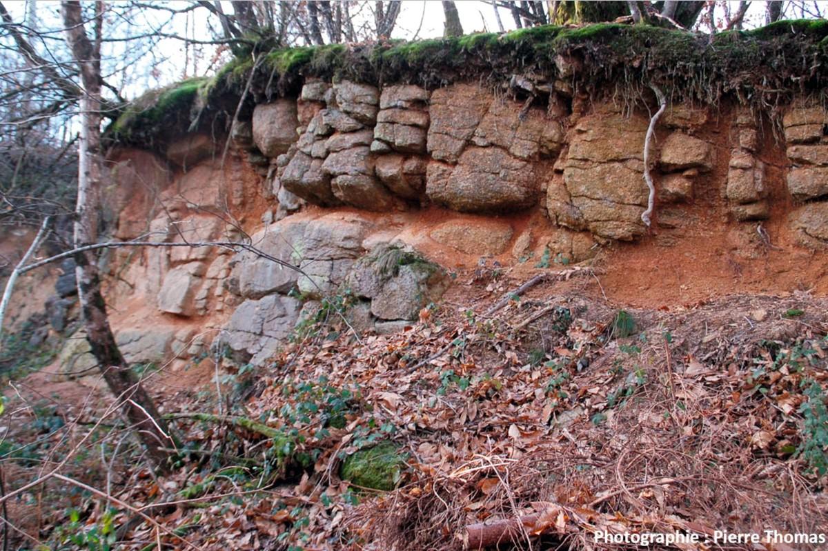 Structure, composition et formation des sols | Lelivrescolaire.fr