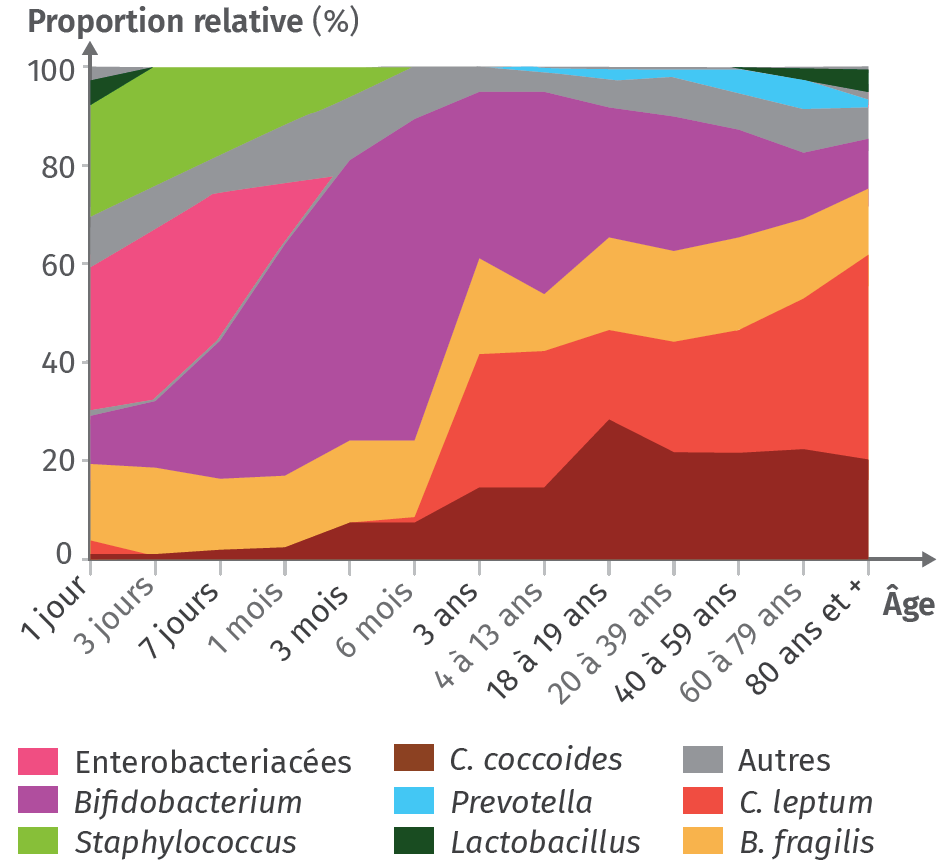 Diversité, origine et évolution du microbiote humain | Lelivrescolaire.fr