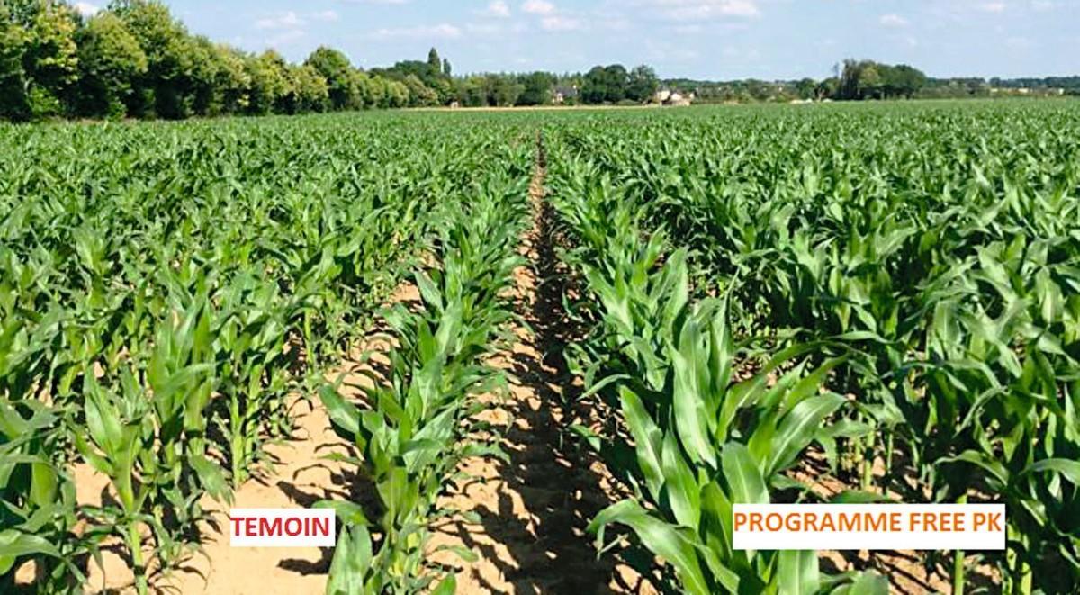La production de biomasse végétale | Lelivrescolaire.fr