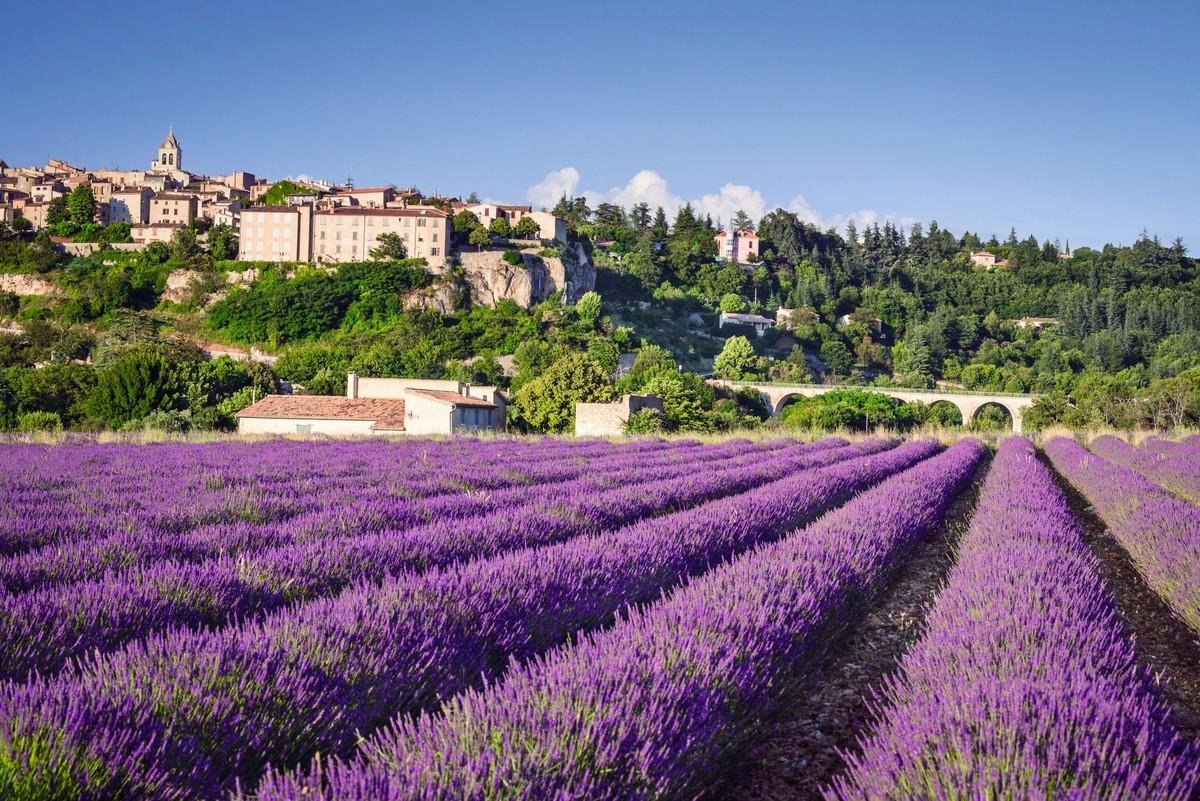 Le travail du géographe : définir l’espace rural | Lelivrescolaire.fr