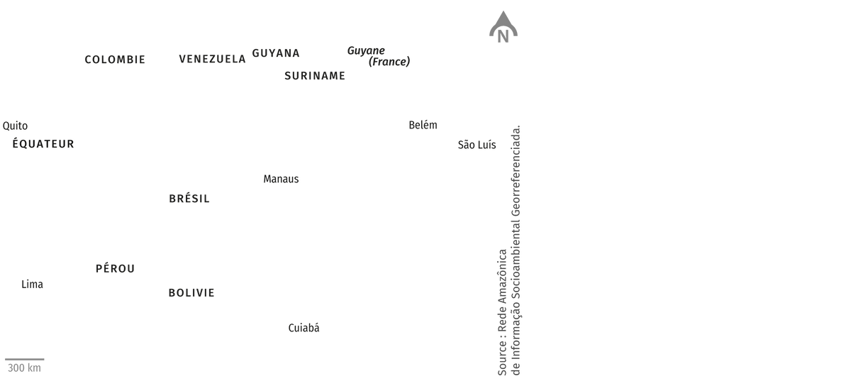 La forêt amazonienne : un environnement fragile soumis aux pressions et ...