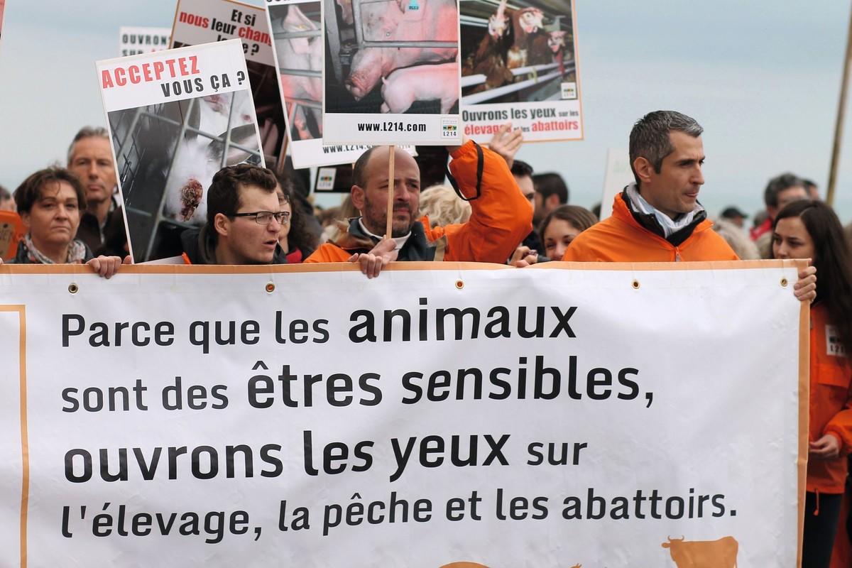 De nouvelles causes : l’exemple de la cause animale | Lelivrescolaire.fr
