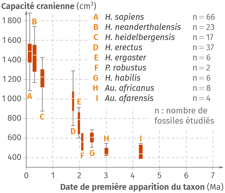 L’anatomie humaine, produit d’une histoire évolutive | Lelivrescolaire.fr