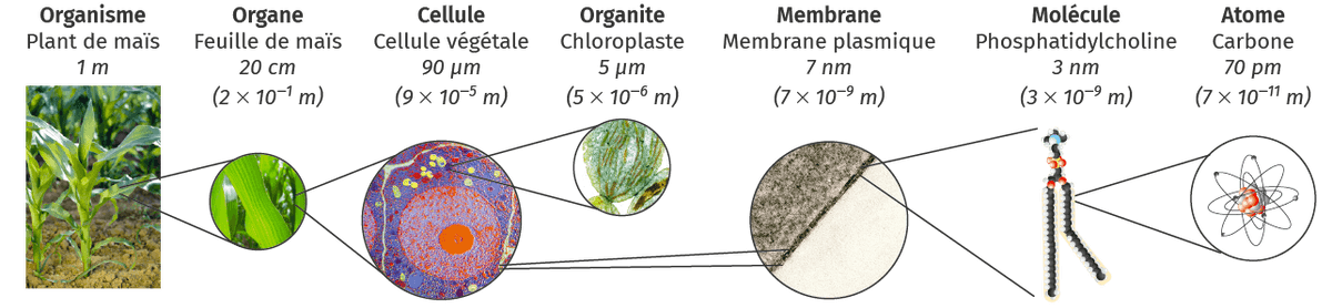 Cours | Lelivrescolaire.fr