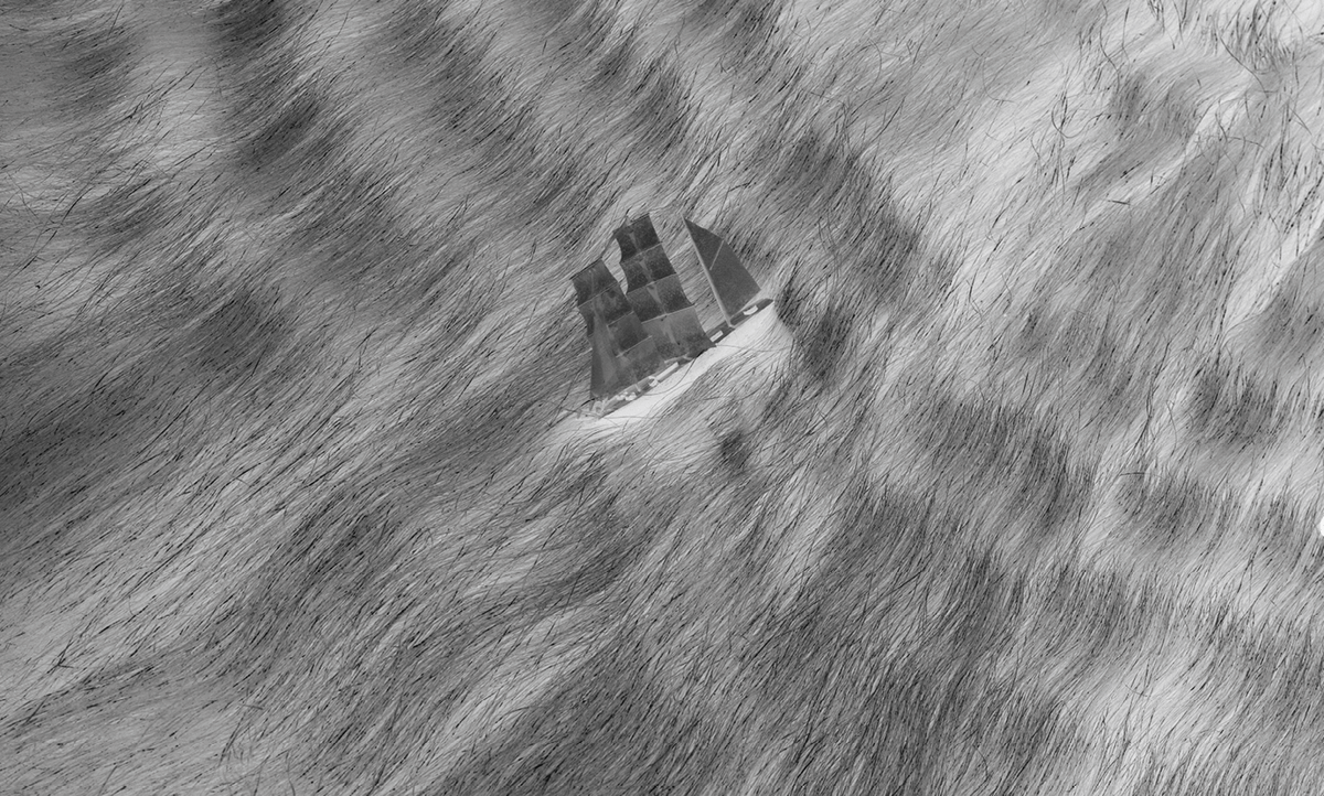 Nouveauté 2021 : Le paysage du corps | Lelivrescolaire.fr