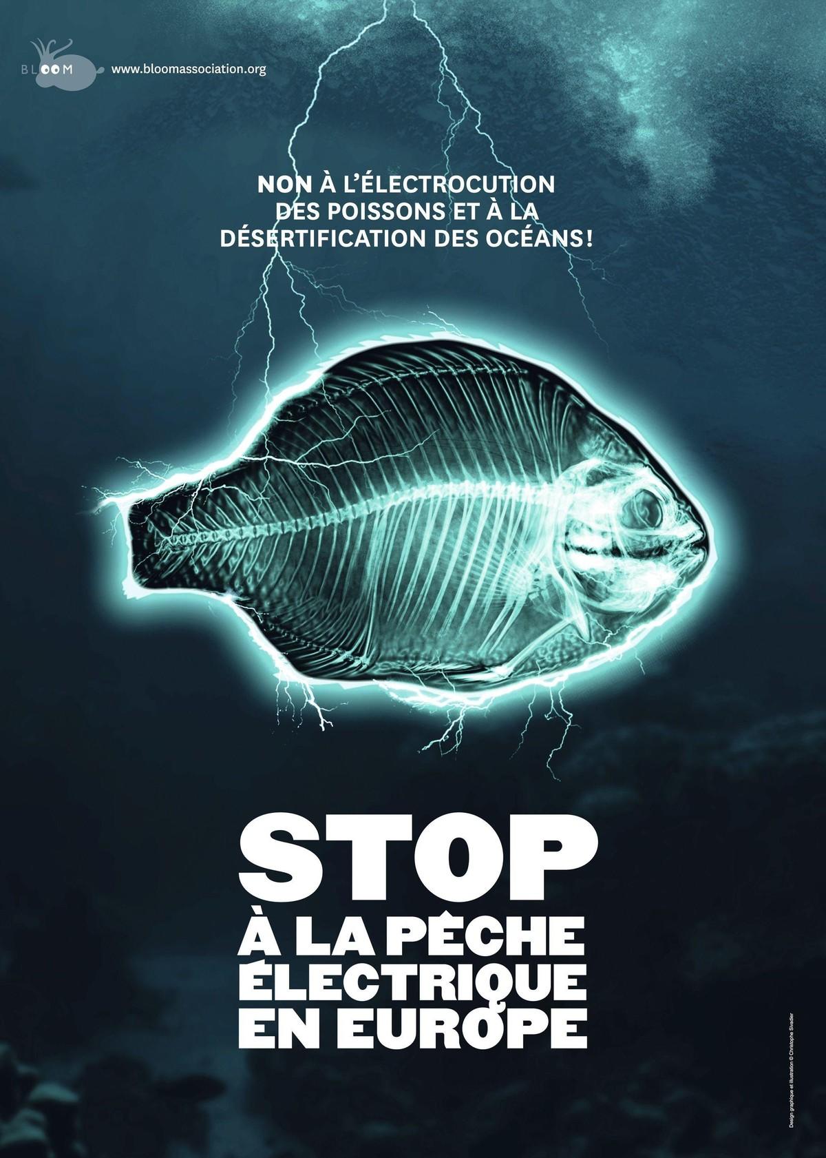 Se mobiliser à plusieurs échelles : l’exemple de la protection des ...