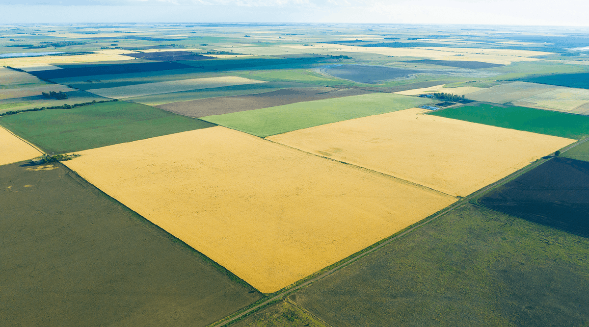 Habiter la Pampa argentine (1/2) | Lelivrescolaire.fr