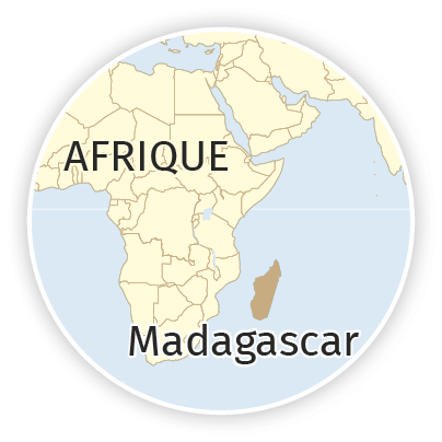 L’agriculture vivrière à Madagascar | Lelivrescolaire.fr
