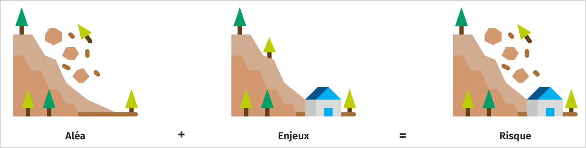 Les sociétés et les risques : anticiper, réagir, se coordonner et s ...