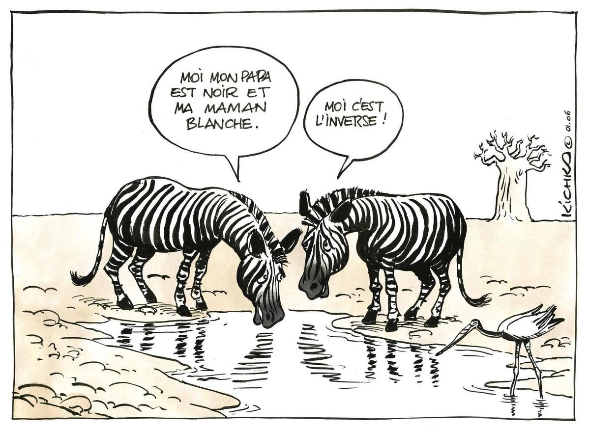 Lexique | Lelivrescolaire.fr