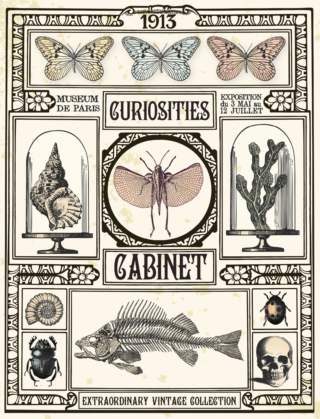 Mon cabinet de curiosités | Lelivrescolaire.fr