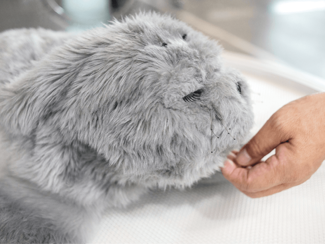 Nuancer un point de vue | Lelivrescolaire.fr