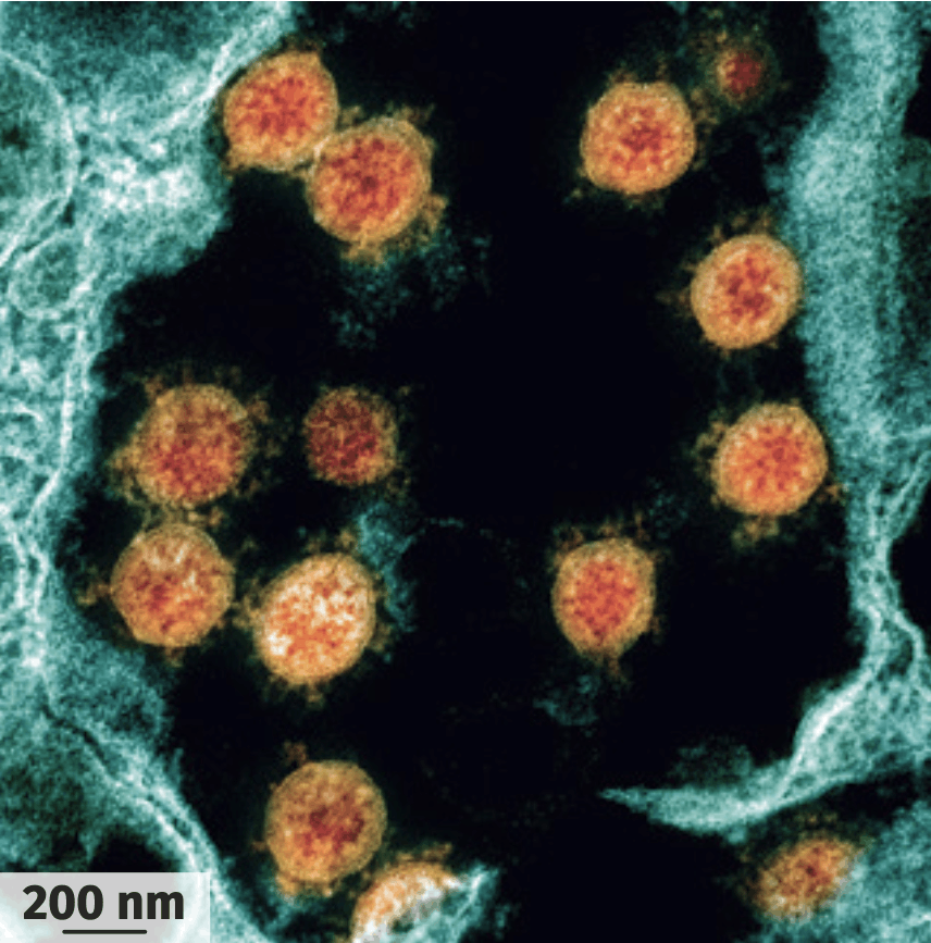 Les avancées de l'exploration microscopique dans la description des ...