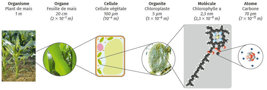 Cours | Lelivrescolaire.fr