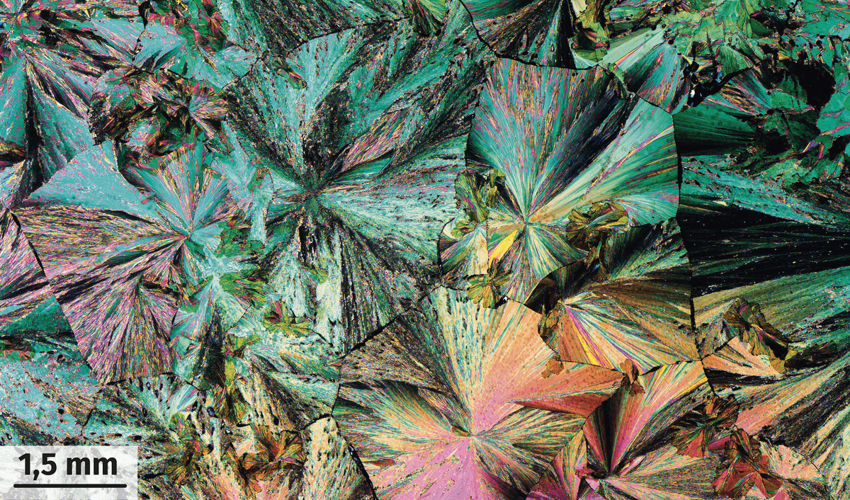 Une cristallisation sous conditions | Lelivrescolaire.fr