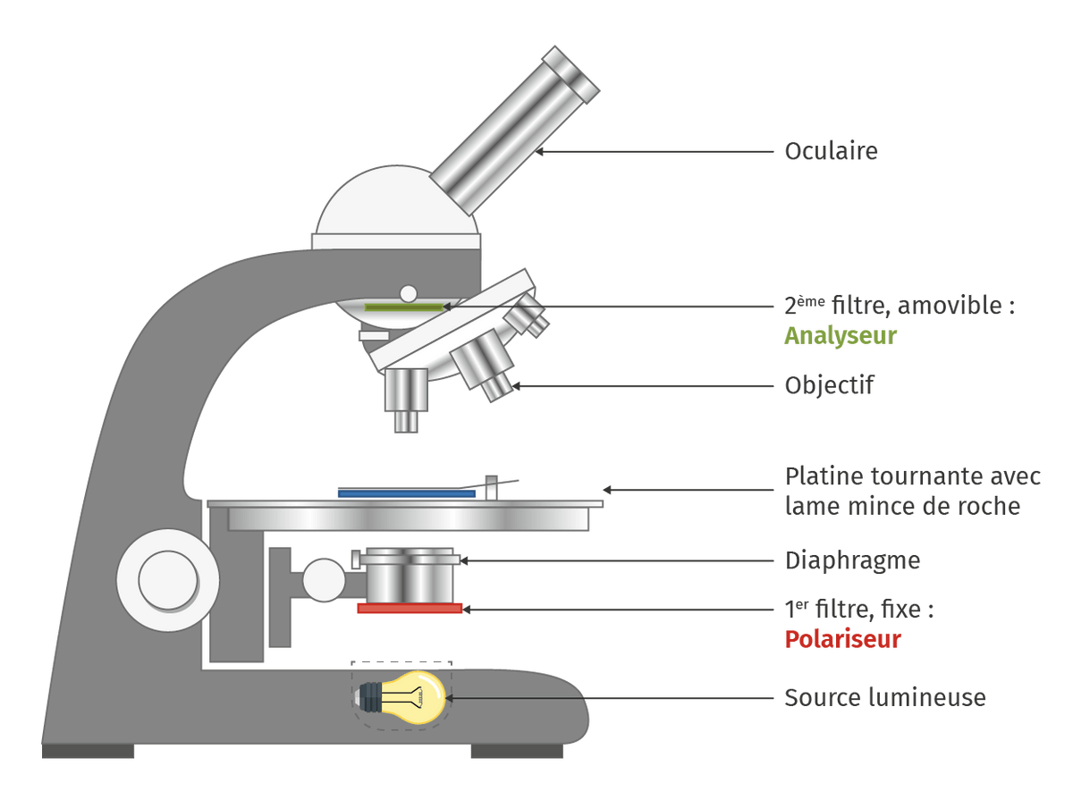 De la roche au squelette, les cristaux sont partout ! | Lelivrescolaire.fr